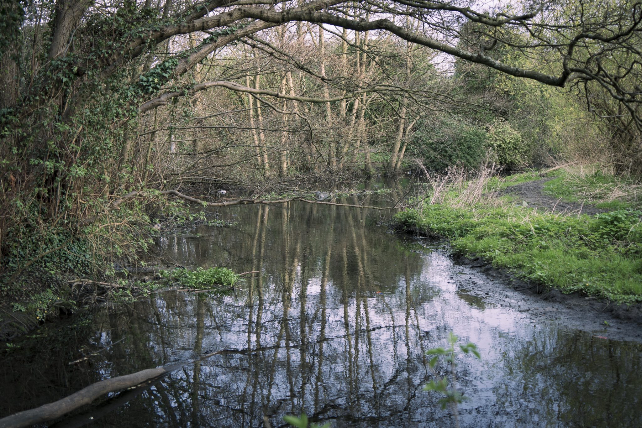 River Lea - Revoluton