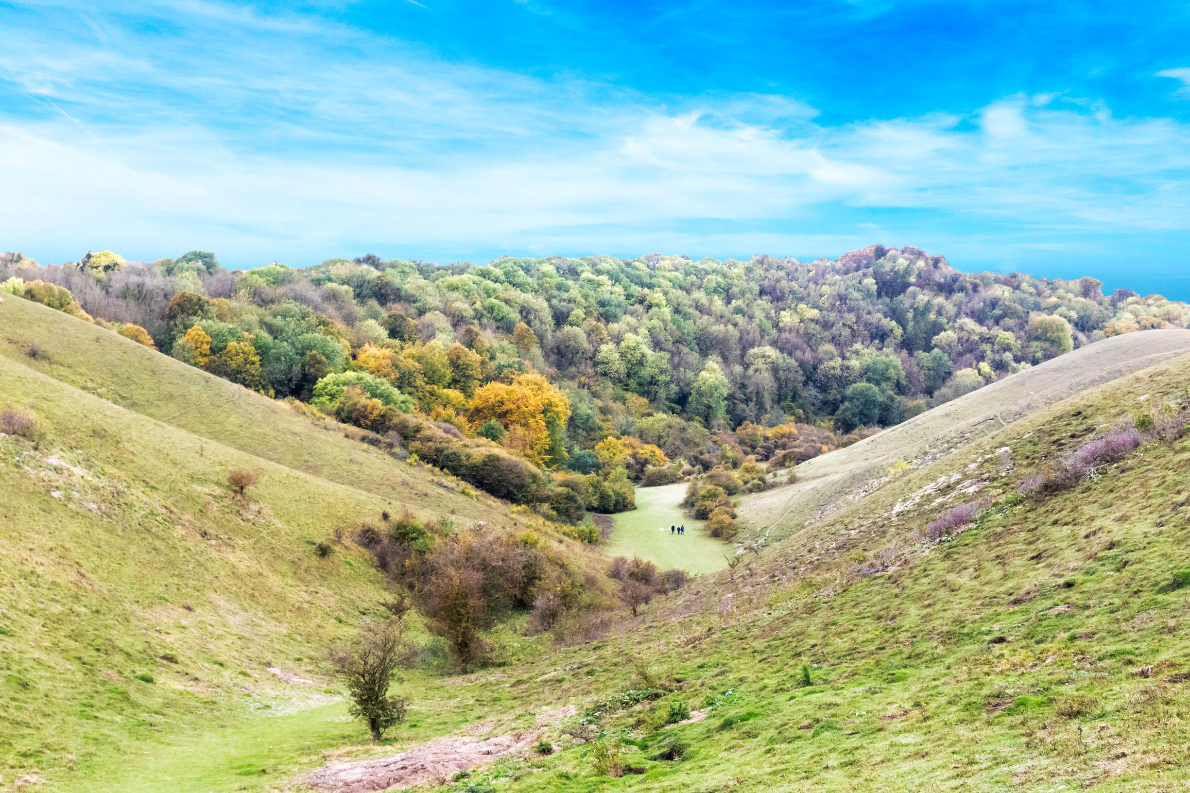 Barton Hills National Nature Reserve - Revoluton