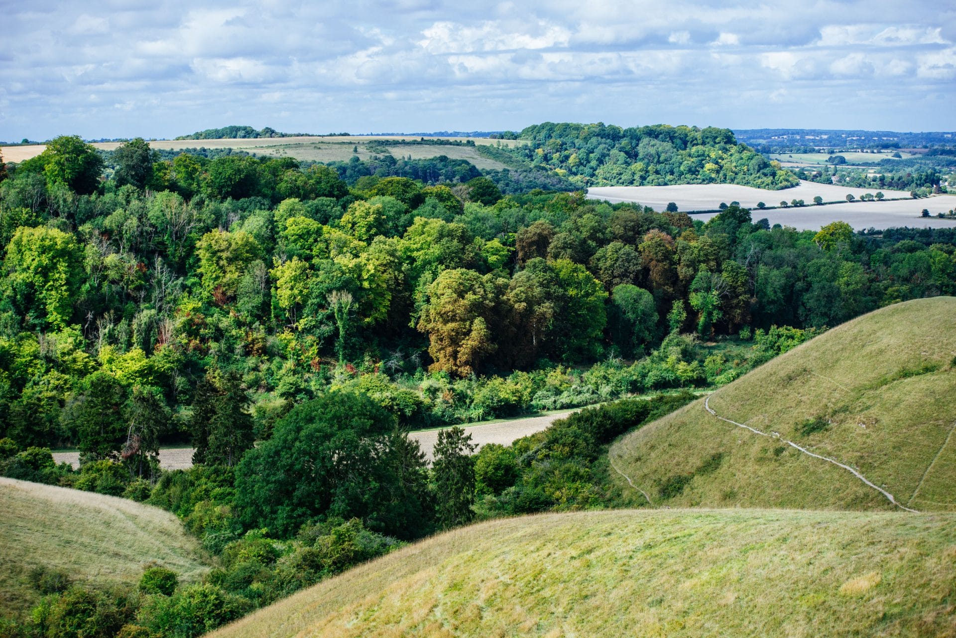 Undercurrent Digital Archive - Revoluton