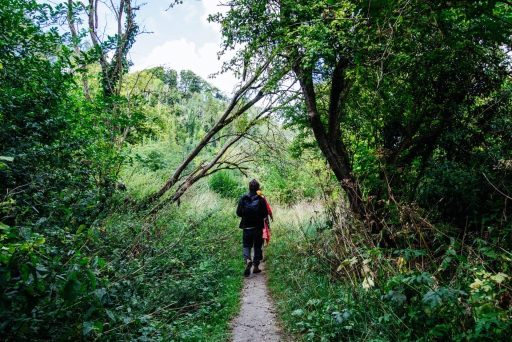 Nature Calling - Revoluton