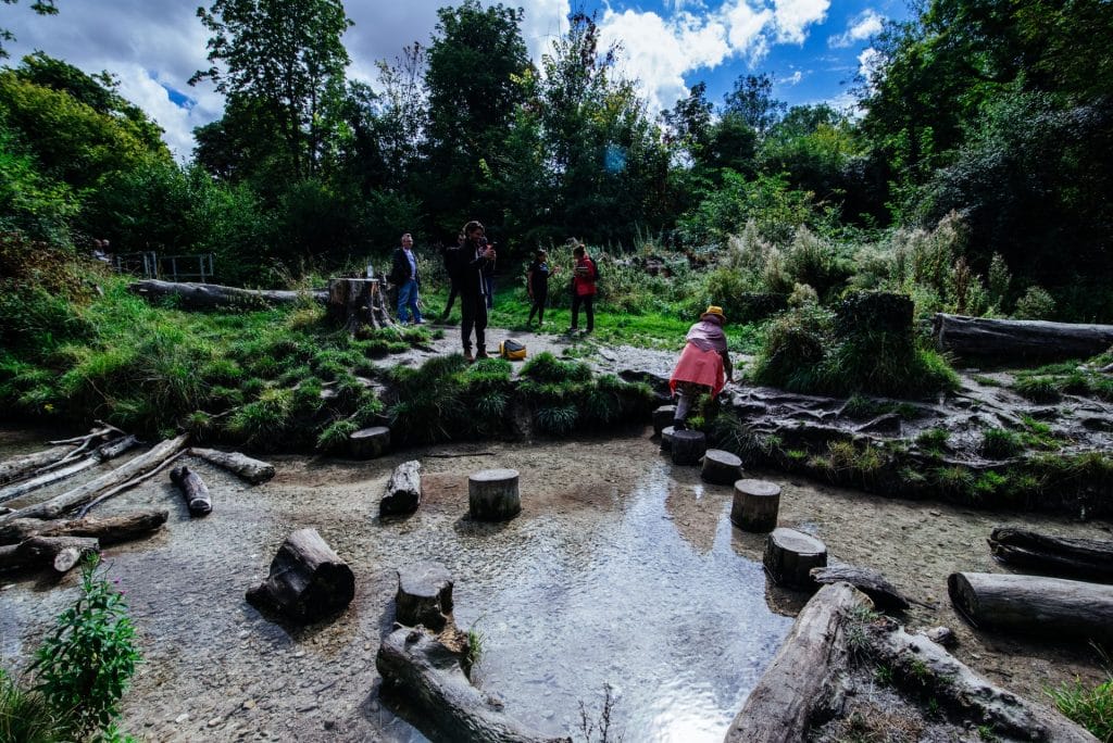 Nature Calling - Revoluton